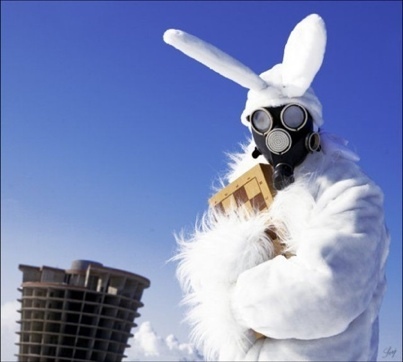 Meth Bunny | Gewgle